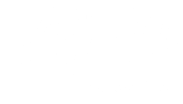 Homepage - The Audit Generation
